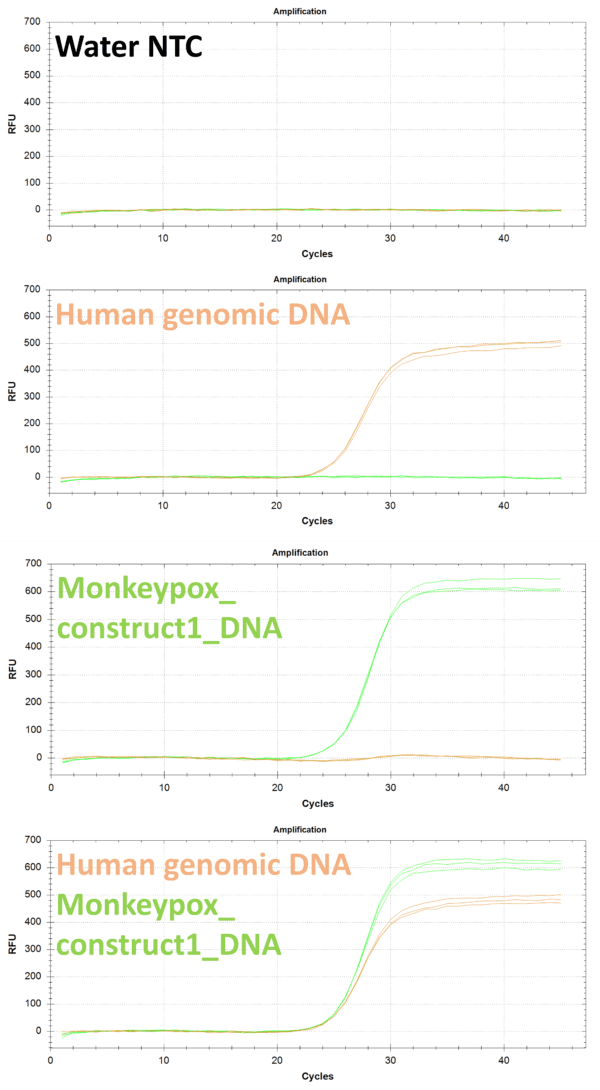 MPX1-RPP30DNA - PCR Assays