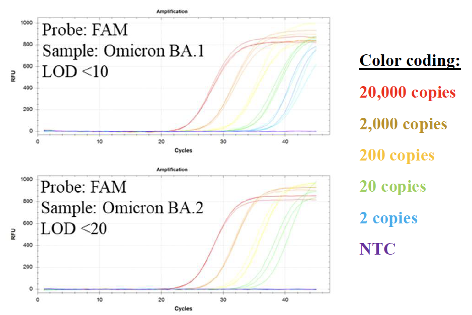 N1P-RPP30 - PCR Assays